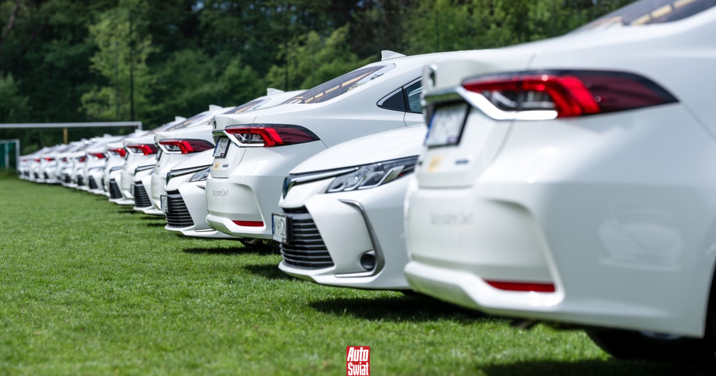 Japońska marka rządzi na polskim rynku flotowym. Auto firmowe w ...