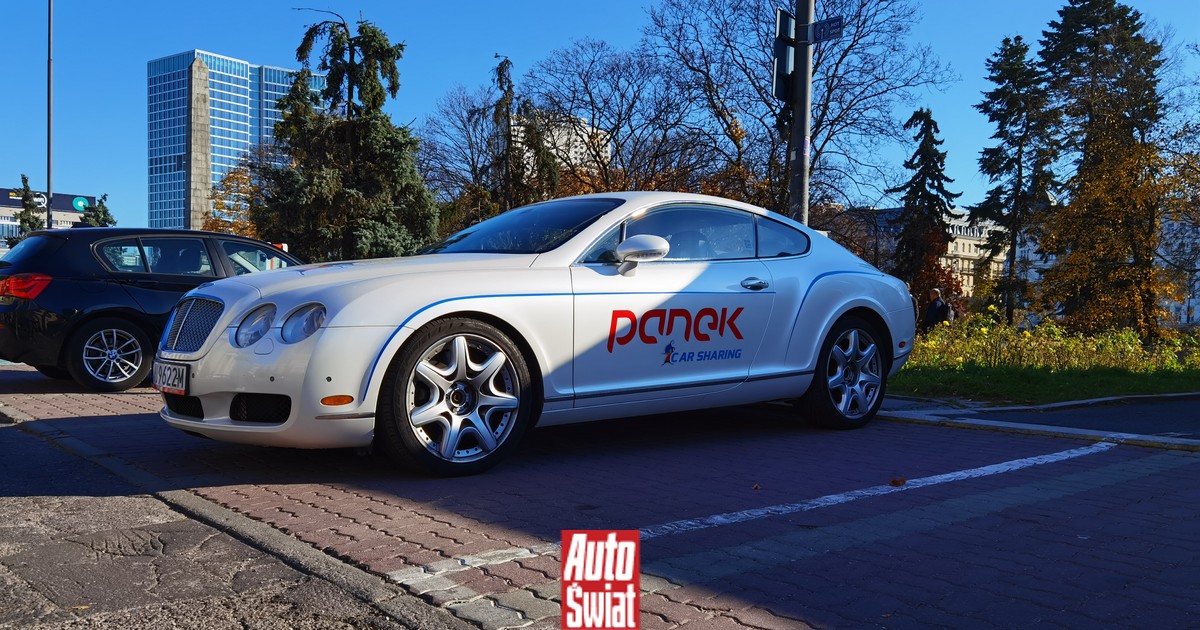 Panek Car Sharing w poważnych kłopotach. Milionowe straty - Auto Świat