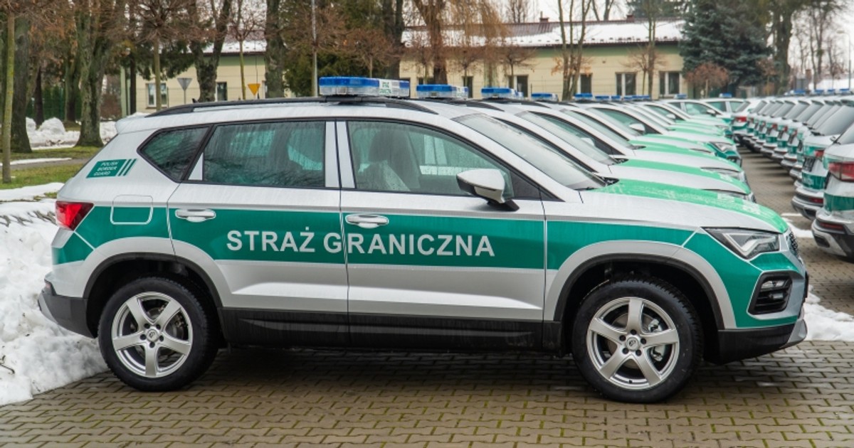 Stra Graniczna Odebra a Olbrzymi Liczb Nowych Pojazd w Nie Tylko
