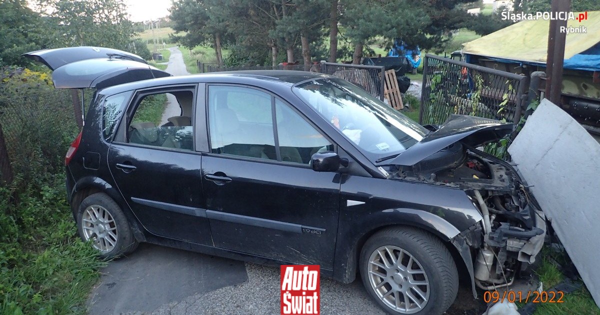 Kompletnie pijana matka wiozła dzieci. Daleko nie zajechała. Smutny finał podróży - Auto Świat