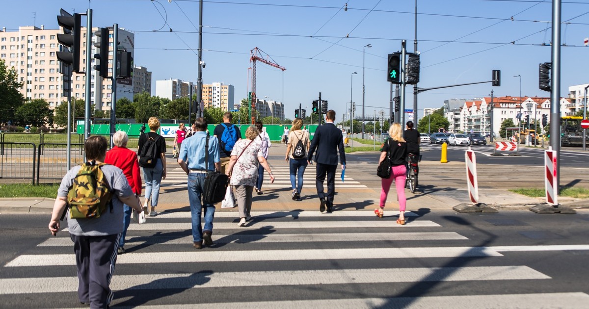 Premier zapowiada dalsze zmiany w przepisach ruchu drogowego - Auto Świat