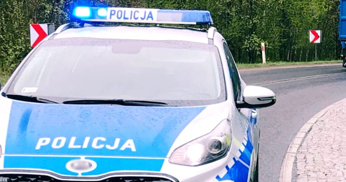 Uciekał przed policjantami. W lesie porzucił nie tylko samochód - Auto Świat